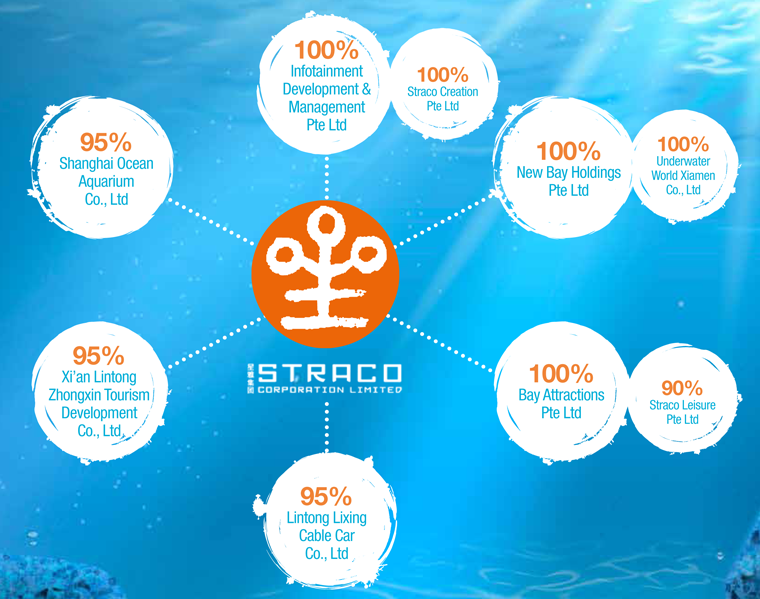 Investor Relations: Corporate Structure
